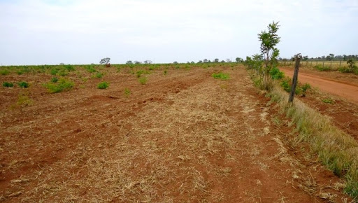 Força-tarefa interinstitucional é formada para coibir grilagem de ...